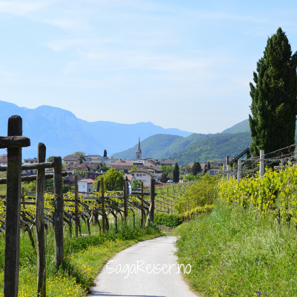 3 Fottur I Dolomittene Italia | SagaReiser